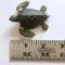 Sea Turtle Dichotomous Key Activity - What If Scientific - Leave Only ...